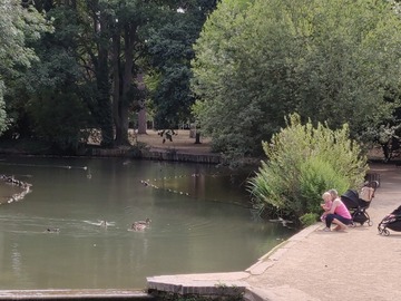 Cherry Hinton Hall Park - Joy