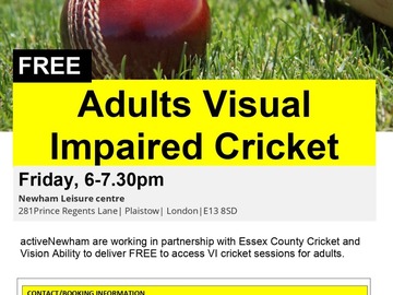 Adult Visual Impairment Cricket - Joy
